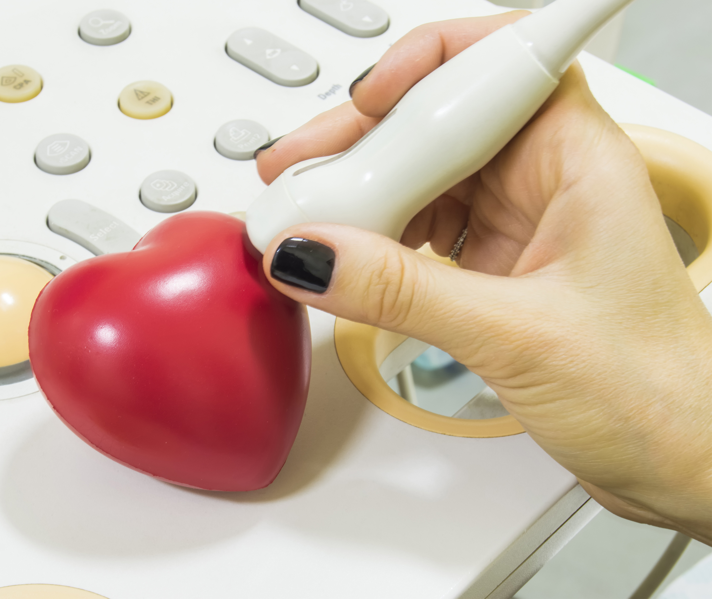 Echokardiographie (Herzultraschall) | Ratgeber Herzinsuffizienz